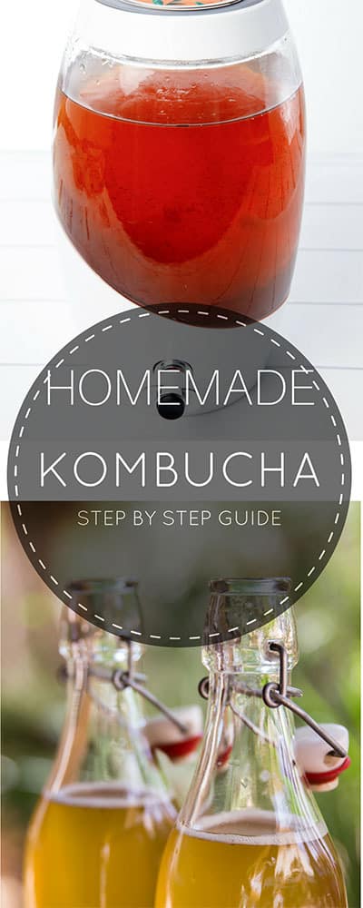 How To Make Kombucha Tea Drink? SCOBY?