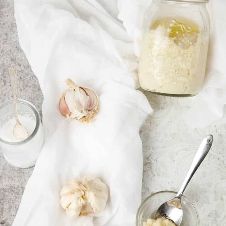Thermomix Garlic Paste